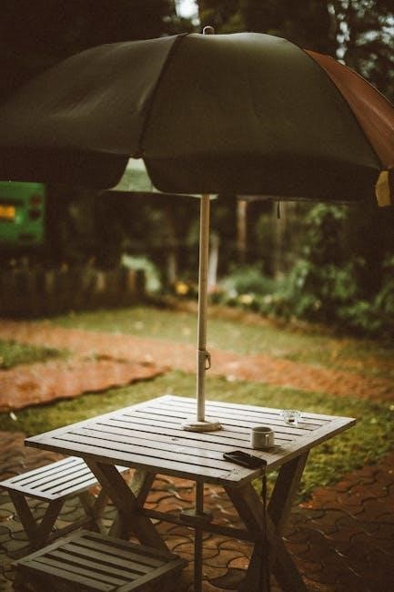 Shuffleboard Table Rules PDF | Official Guide & Regulations